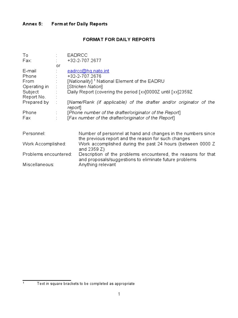 Daily Report Format for EADRCC | PDF