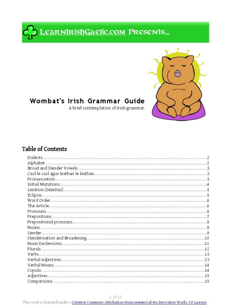 Wombat's Irish Grammar Guide | PDF | Grammatical Gender | Irish Language