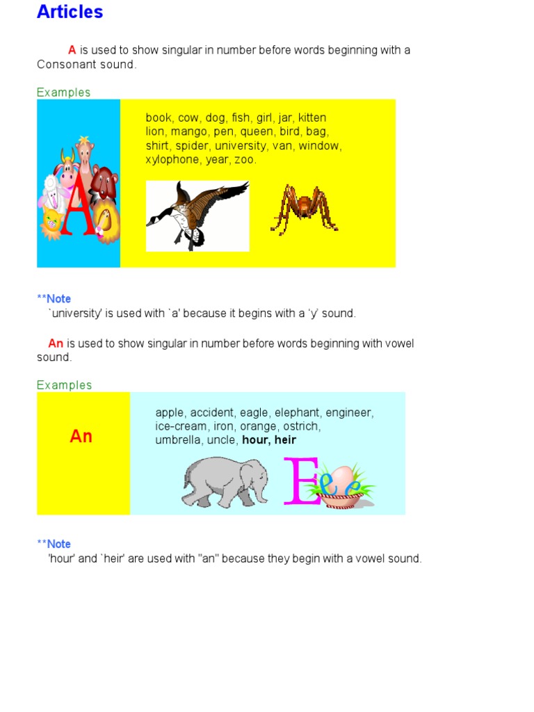 Year 6 Grammar Notes | PDF | Grammatical Number | Noun