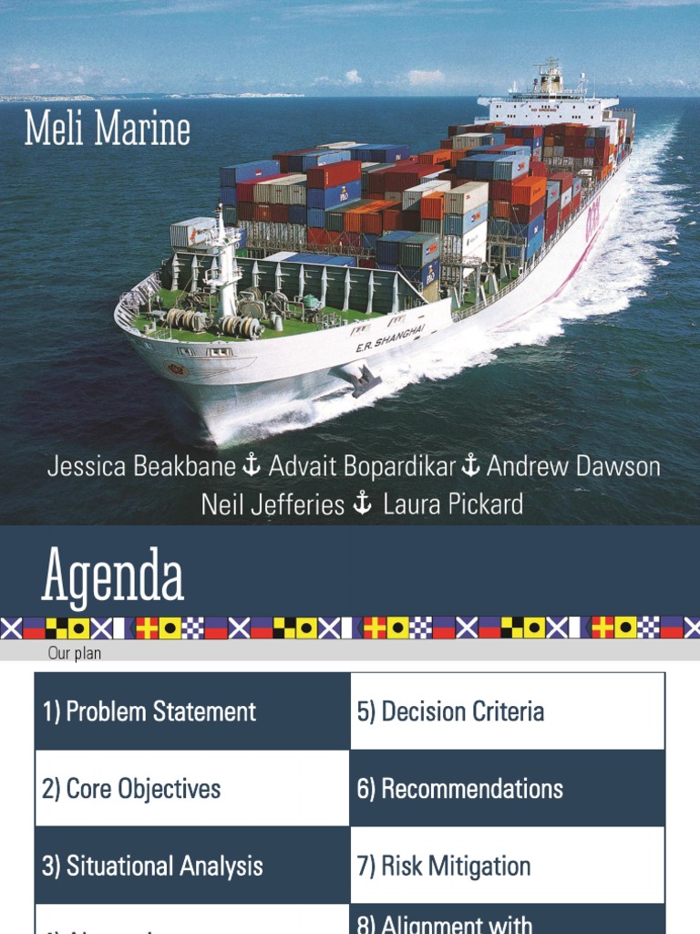 Meli Marine - Final | PDF | Profit (Economics) | Climate Change Mitigation