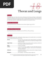 Deep Tendon Reflex Steps On How To Assess The DTR: Normal Response: DTR ...