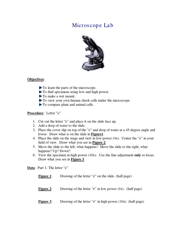 Microscope Lab | PDF | Cell (Biology) | Microscopy