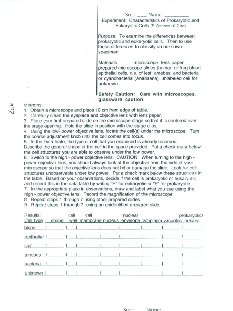 Experiment: Characteristics of Prokaryotic and Eukaryotic Cells (8 ...