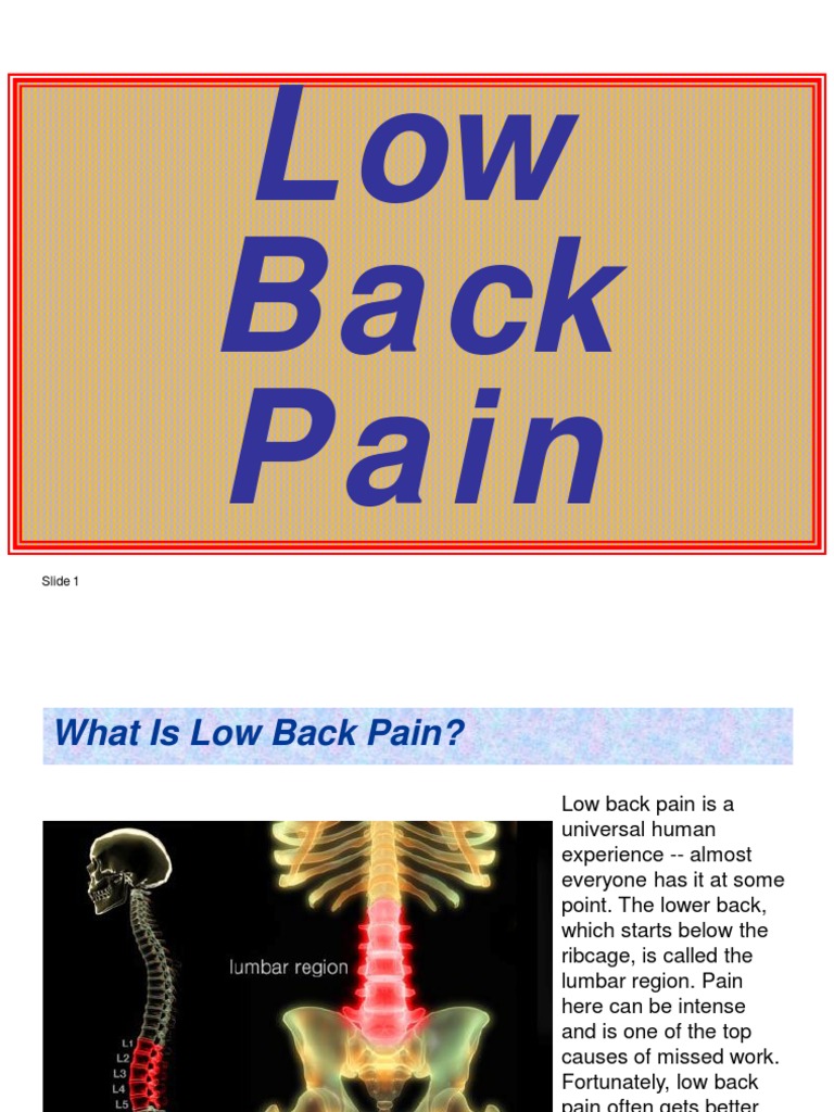 Low Back Pain | PDF | Back Pain | Low Back Pain
