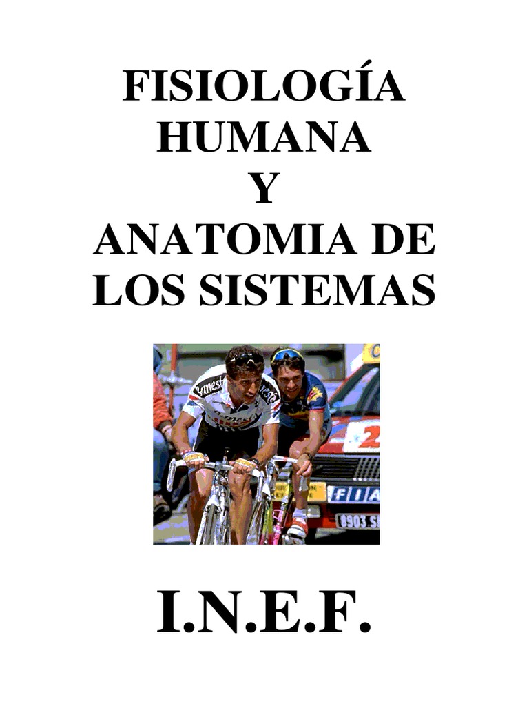 Fisiologia Humana y Anatomia de Los Sistemas - InEF | PDF