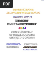 Chem 114 LAB Experiment 1 Rusting of Iron | PDF | Rust | Corrosion