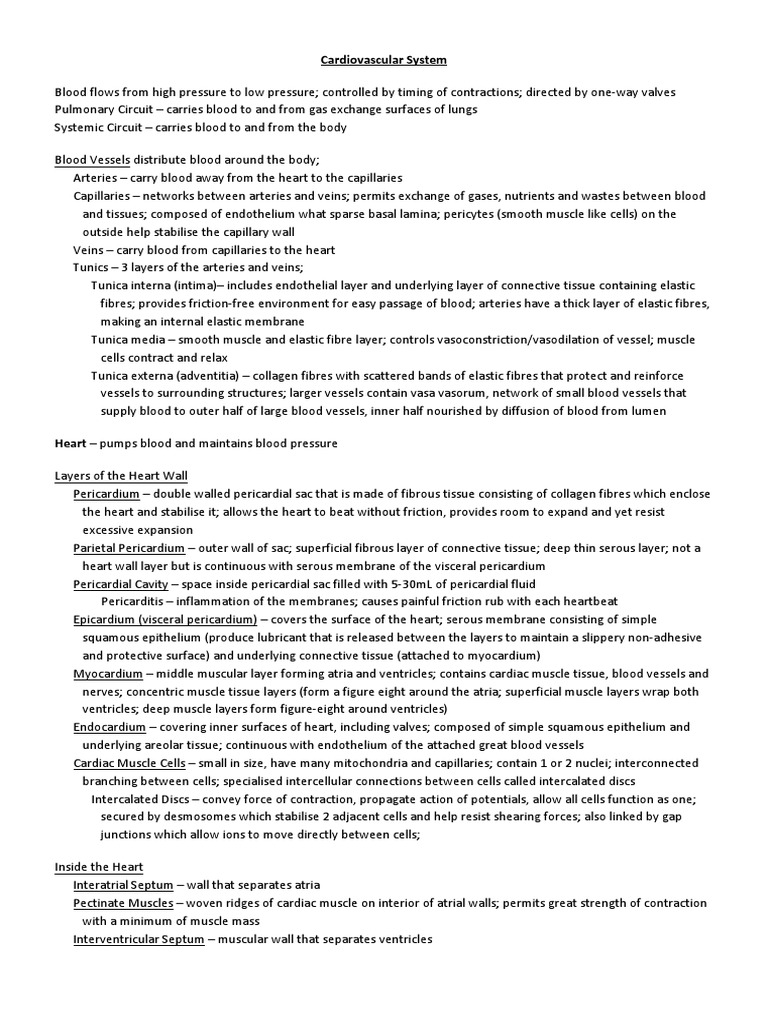 Human Anatomy and Physiology Notes | PDF | Heart Valve | Heart