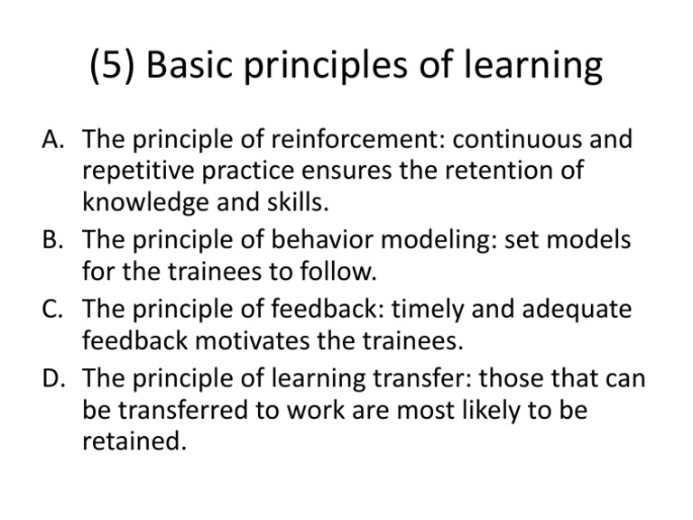 Basic Principles of Learning Explained | PDF