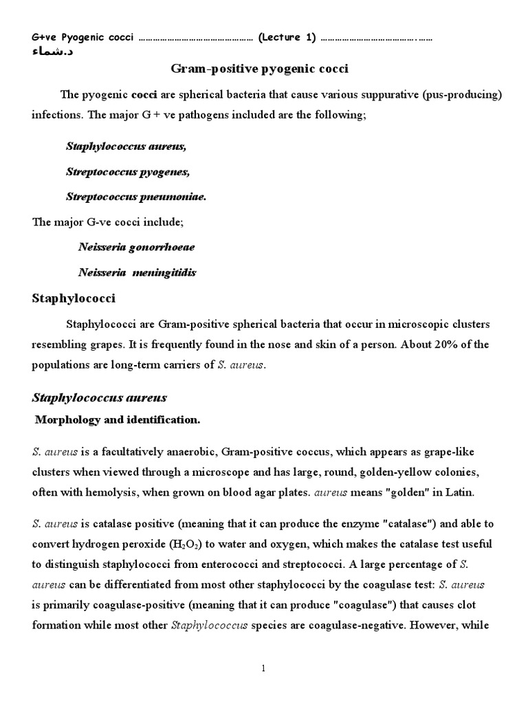 Overview of Gram-Positive Pyogenic Cocci | PDF | Staphylococcus Aureus ...