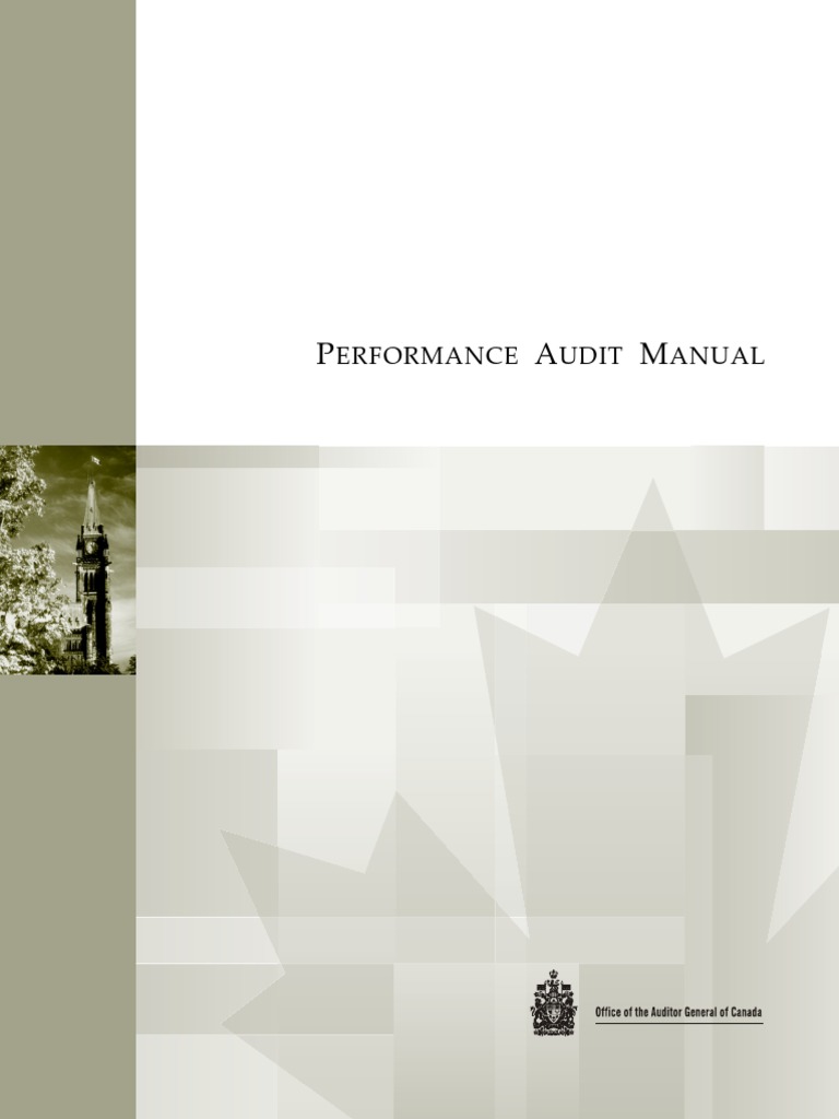 Audit Manual | PDF | Financial Audit | Audit