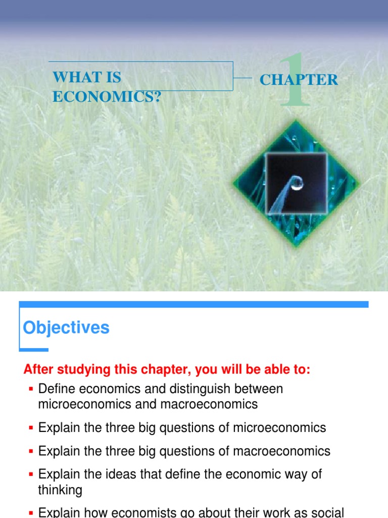 Ch01 Introduction To Economics | PDF | Economic Model | Macroeconomics