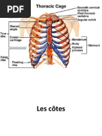 Chapitre 2 - Diagnostic D - Une Monoarthrite | PDF | Arthrose ...
