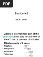 Mitosis Mover Webquest Bioman PDF | PDF | Mitosis | Chromosome