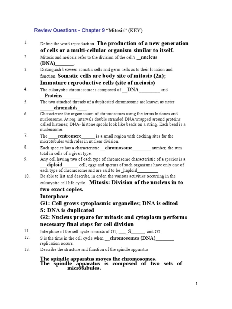 "Mitosis" (KEY) : Review Questions - Chapter 9 | PDF | Mitosis ...