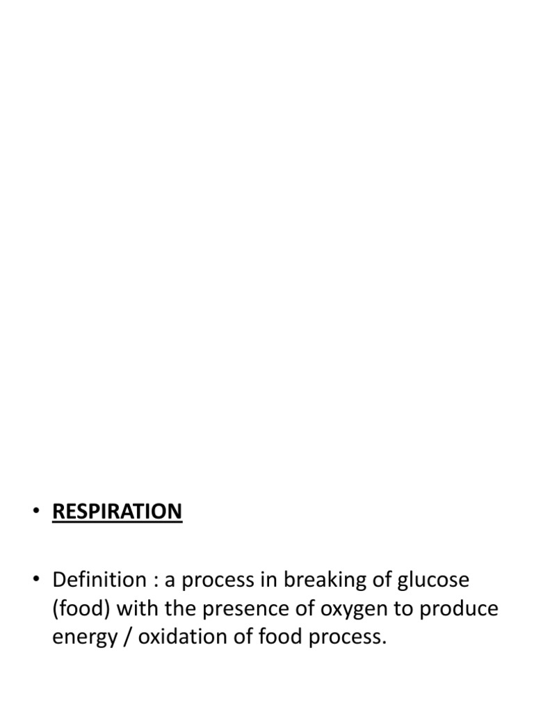 Science Form 3 Chapter 1 Respiration | PDF