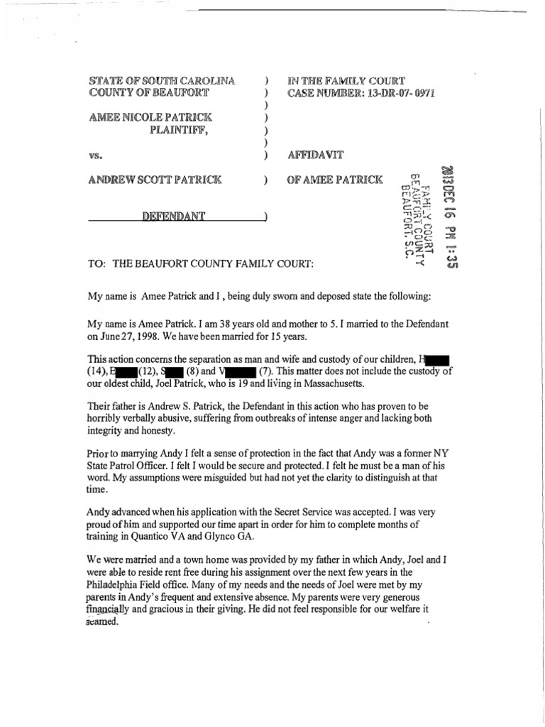 Amee Patrick's Affadavit | PDF | Family | Society