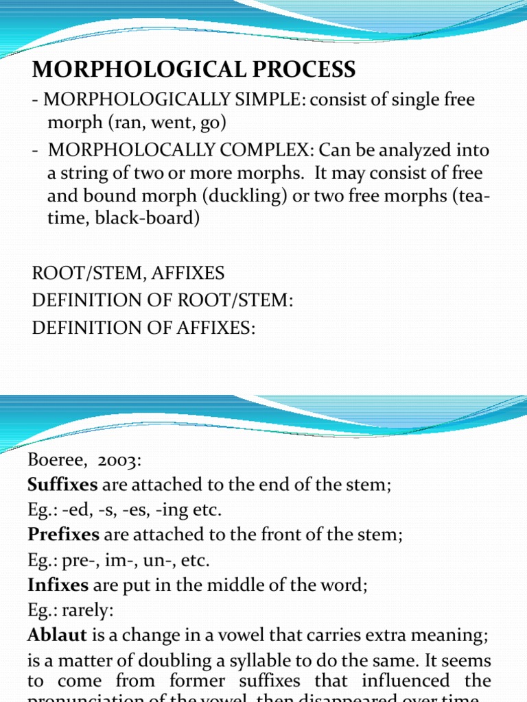 Morphology Typology 2 | PDF | Morphology (Linguistics) | Word