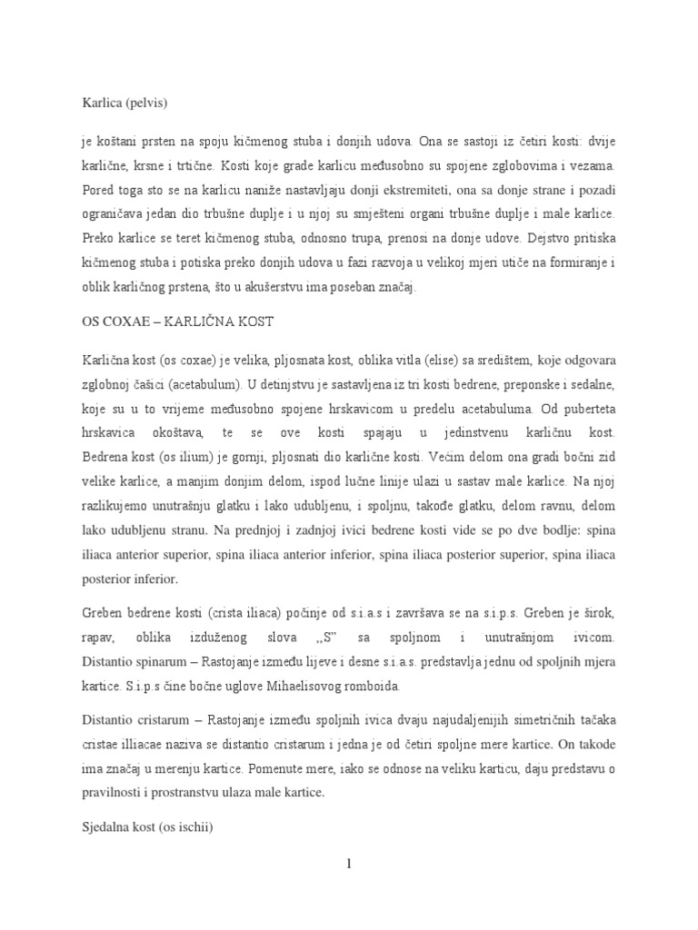 Karlica | PDF