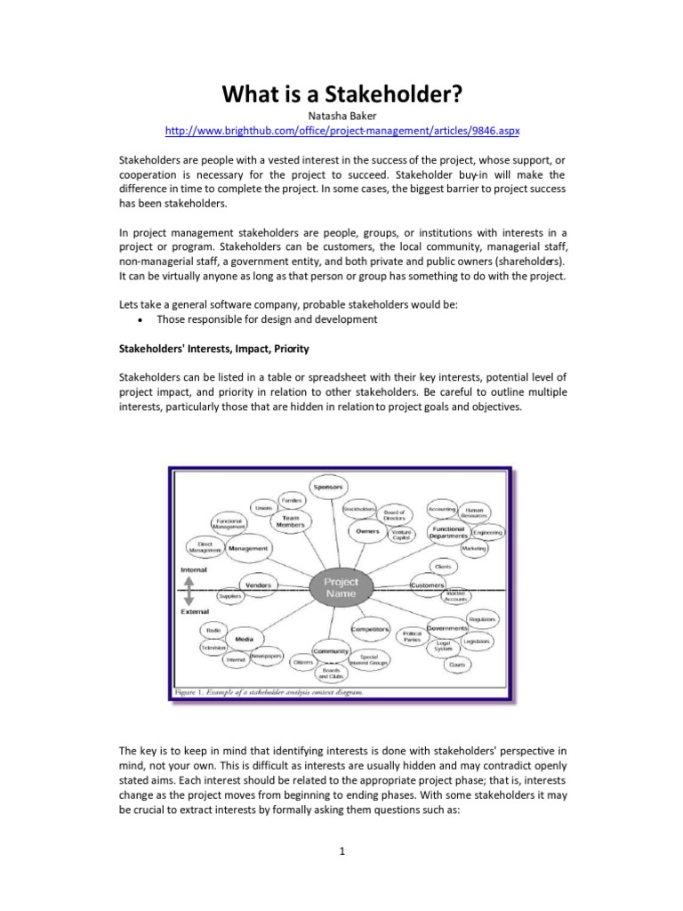 Stakeholder Analysis | PDF | Project Management | Stakeholder (Corporate)