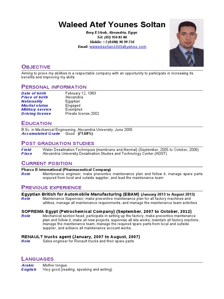 Waleed Atef Younes Soltan: Bjective | PDF