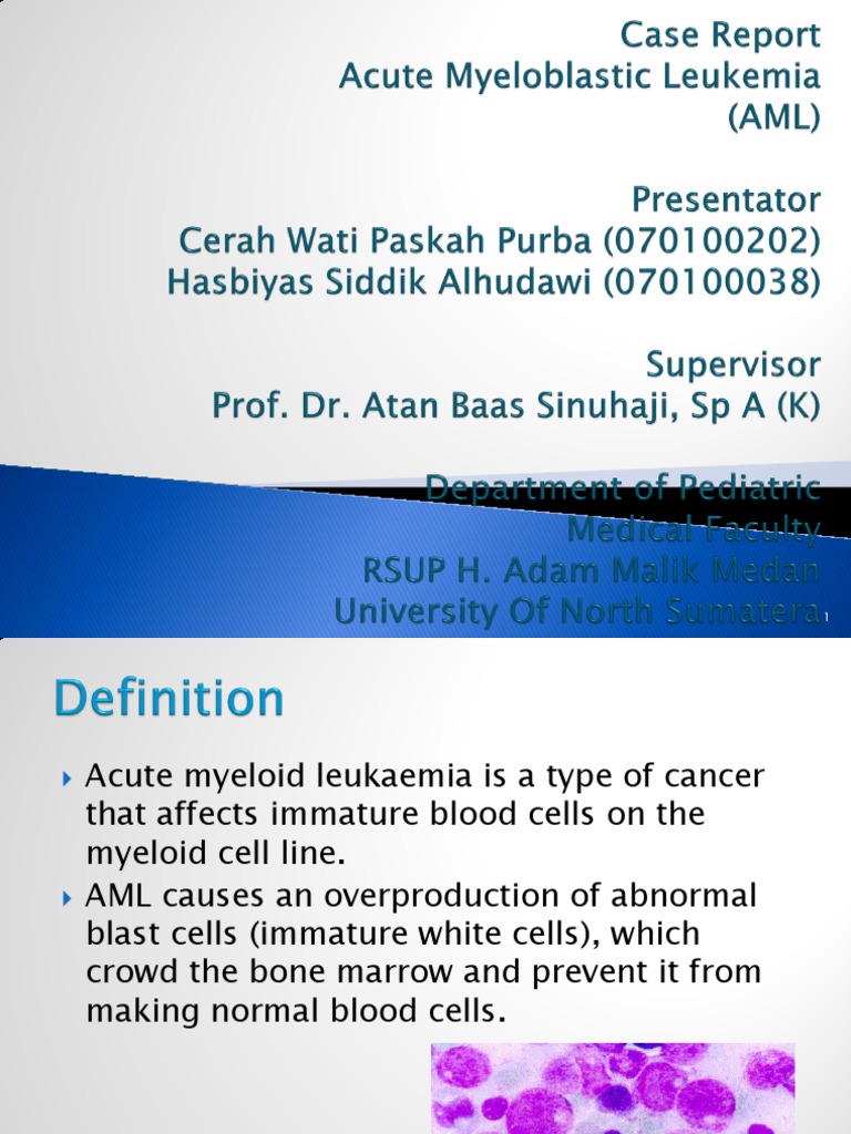 Case Report Anak AML | PDF | Leukemia | Chemotherapy