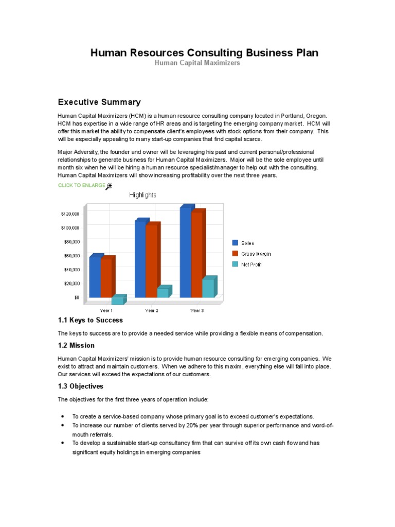 HR Consultancy Plan for Startups | PDF | Human Resource Management ...