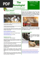 The Barnabus Project - Activity Sheets 1 | PDF