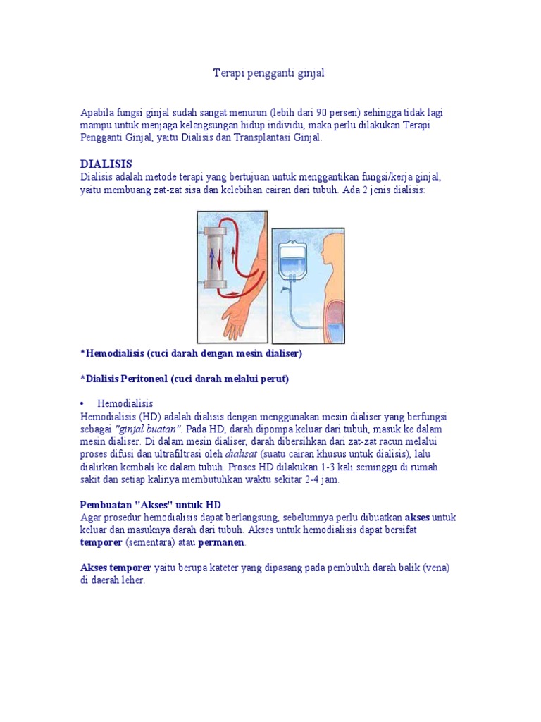 Terapi Pengganti Ginjal | PDF