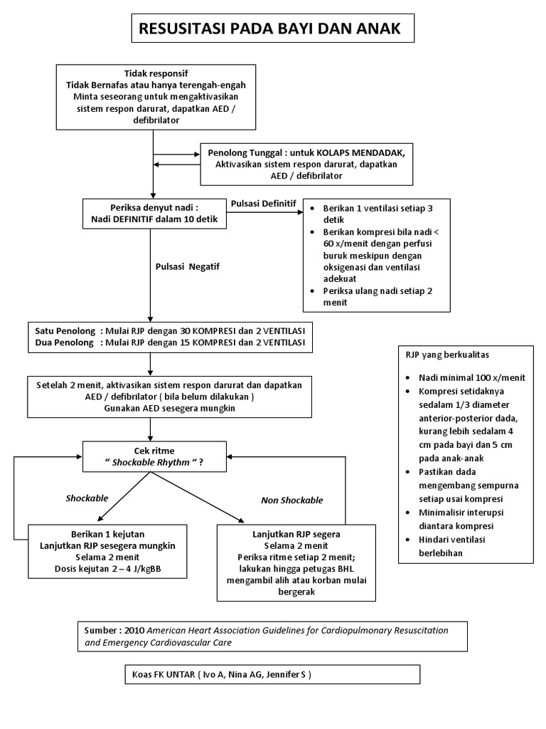 Algoritme RJP Bayi Dan Anak | PDF