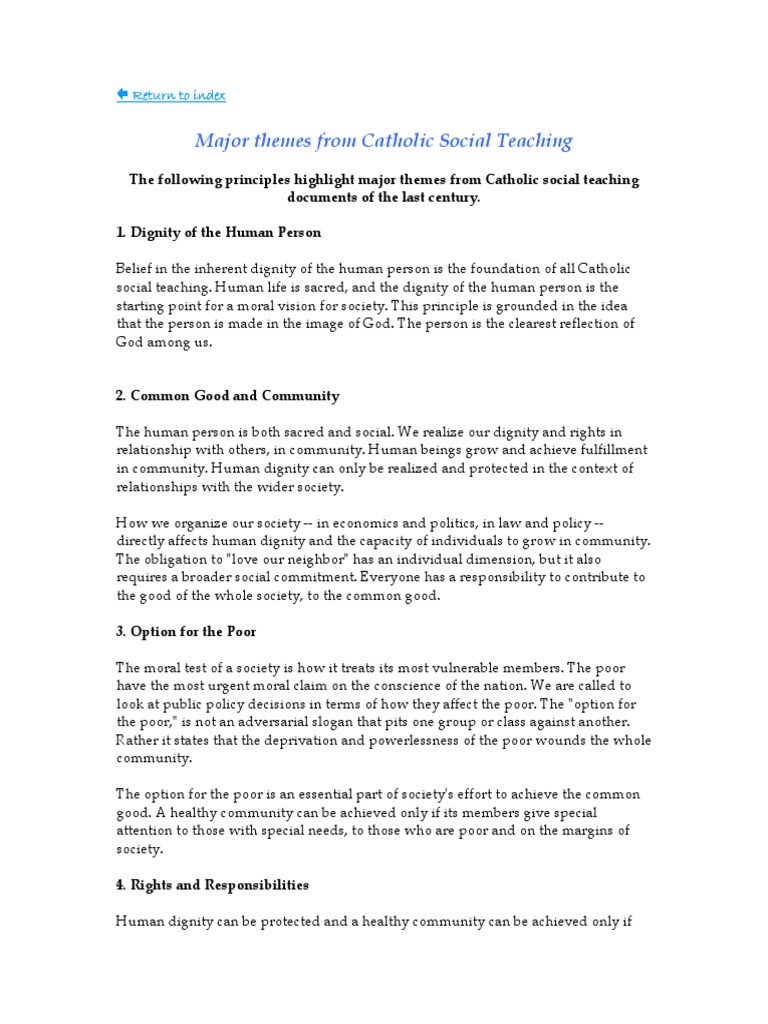 Major Themes in Catholic Social Teaching | PDF | Politics | Social Science