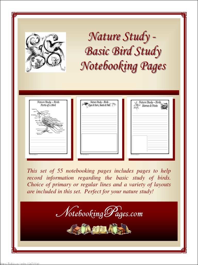 All About Birds - Basic Bird Study Notebooking Pages | PDF | Birds ...