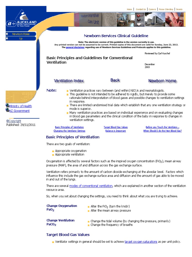 Basics Principle and Guidelines To Neonatal Ventilation | PDF ...