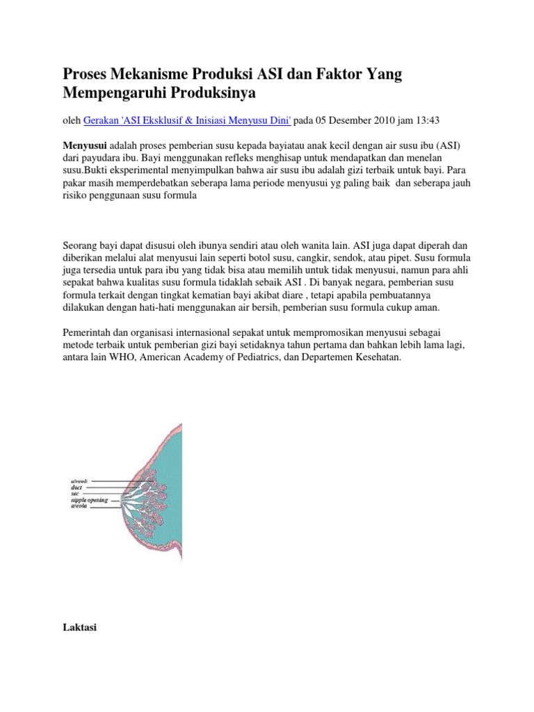 Proses Mekanisme Produksi ASI Dan Faktor Yang Mempengaruhi Produksinya ...