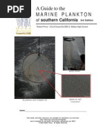 Easy Identification of Diatoms | PDF