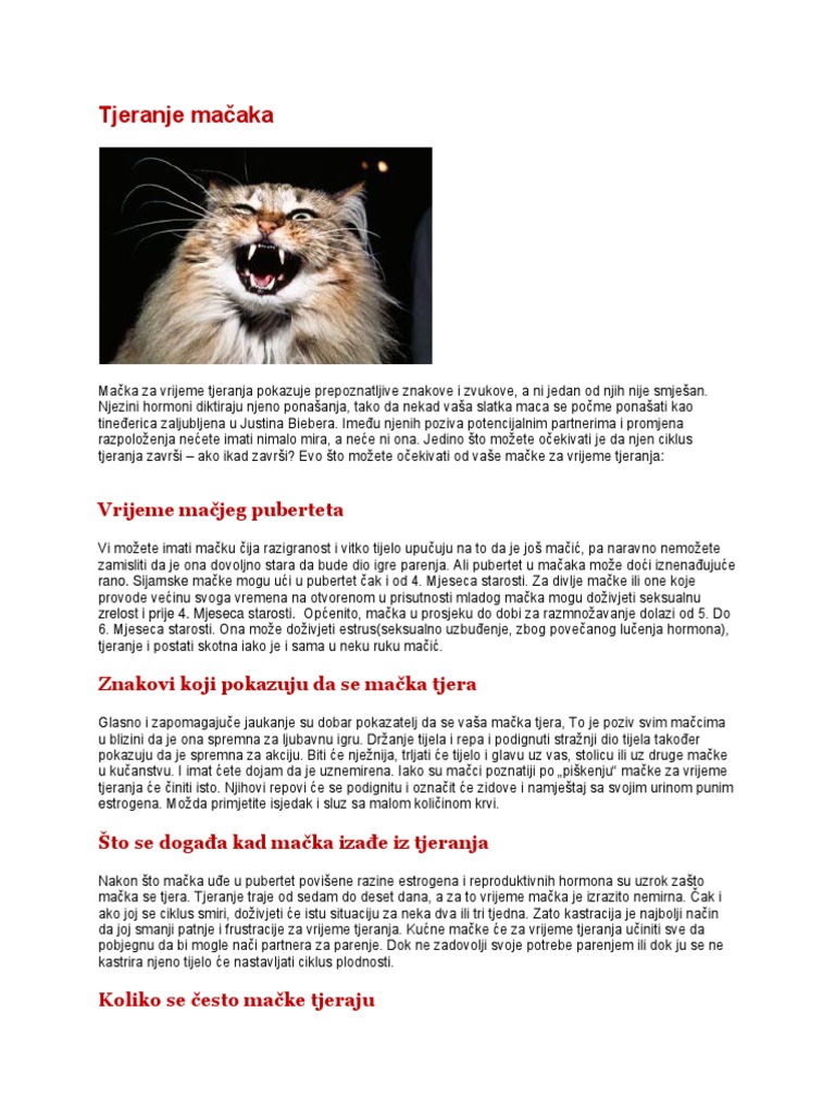 Teranje Macaka | PDF