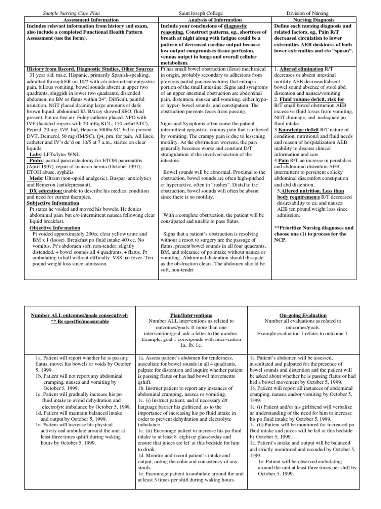 Sample Nursing Care Plan | PDF | Nausea | Constipation