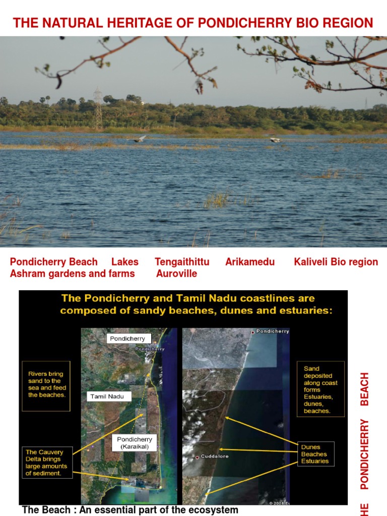 Natural Heritage of Pondicherry | PDF | Coast | Beach