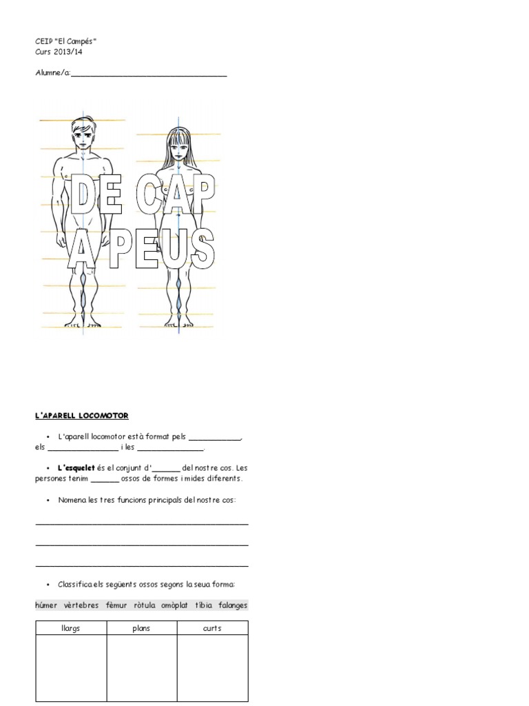 Dossier Activitats Cos Humà | PDF