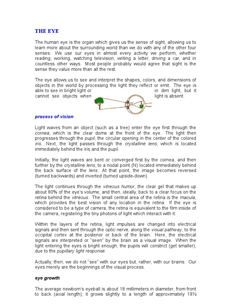 Eye Lecture Guide | PDF | Glaucoma | Human Eye