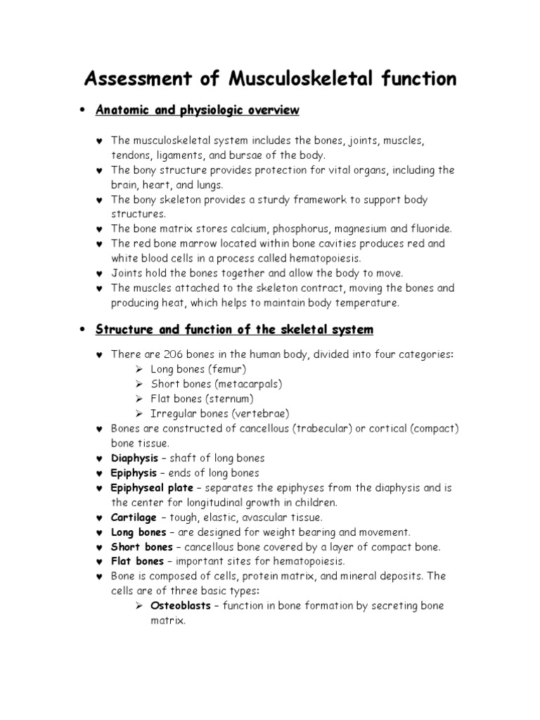 MusculoSkeletal System | PDF | Skull | Bone