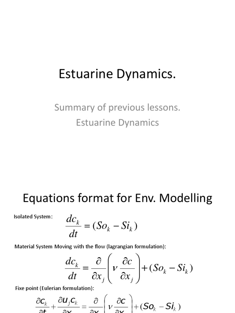 Estuarine Dynamics Overview | PDF | Estuary | Geomorphology
