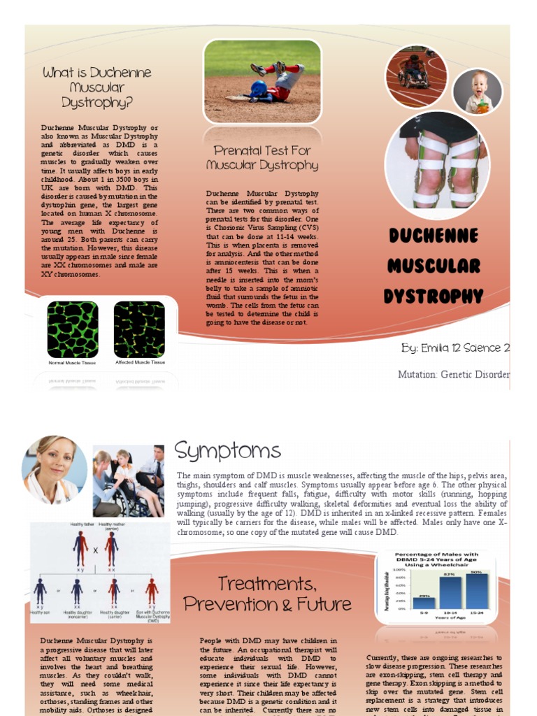 Duchenne Muscular Dystrophy | PDF | Muscular Dystrophy | Genetic Disorder