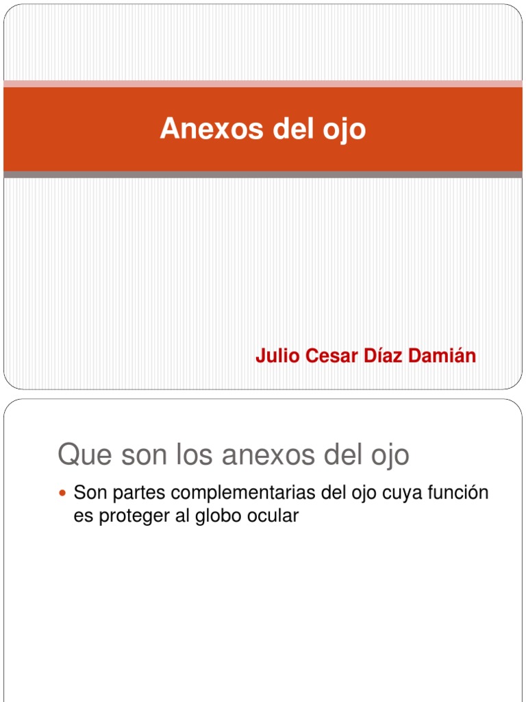 Anexos Del Ojo | Descargar gratis PDF | Ojo | Rasgos faciales