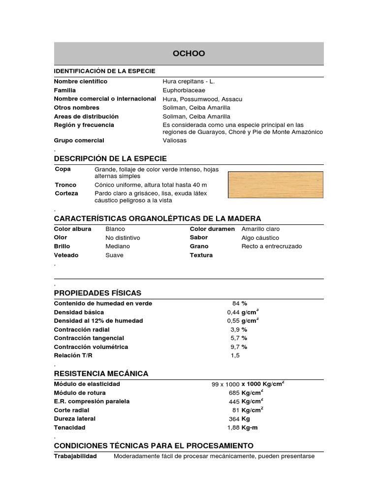 OCHOO | PDF | Hogar y jardín