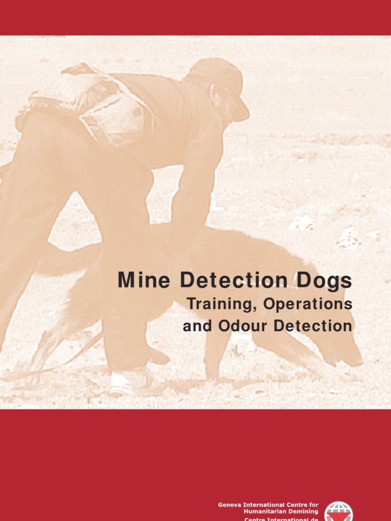 Mine Detection Dogs | PDF | Reinforcement | Animal Training