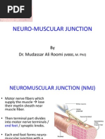 pETDuet 1 PDF | PDF | Vector (Molecular Biology) | Molecular Cloning