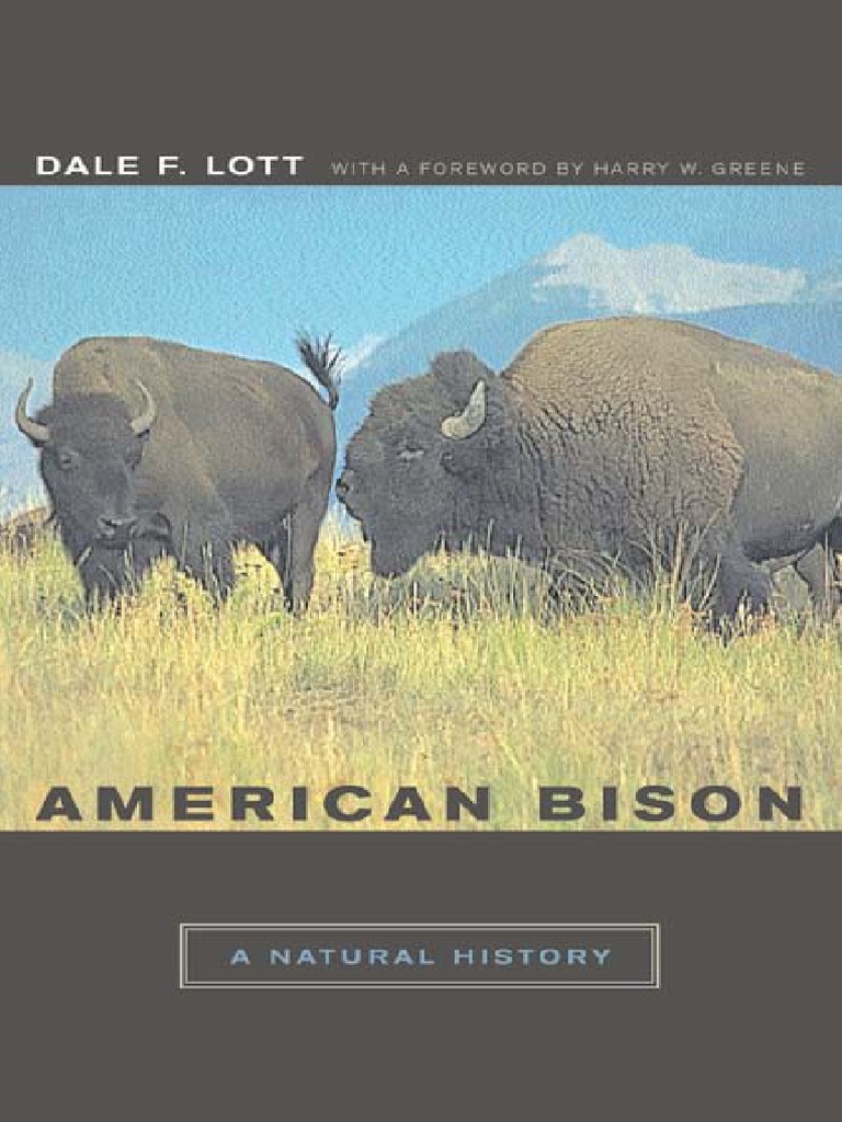 American Bison - A Natural History | PDF | American Bison | Bull