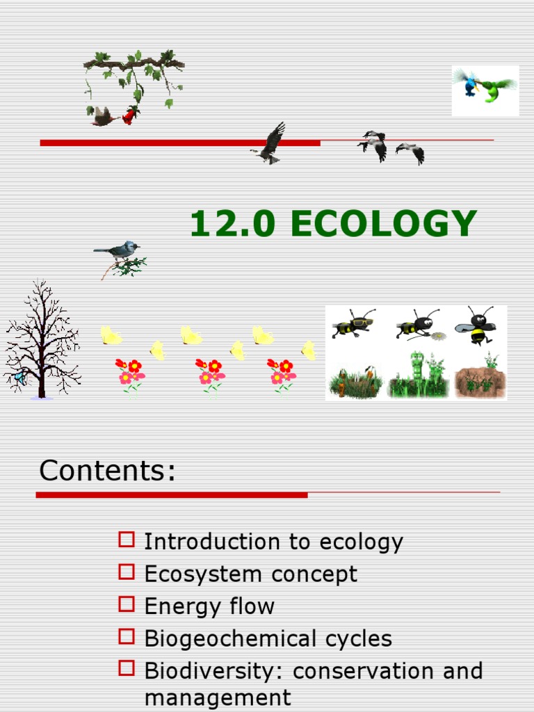12.1 Introduction To Population Ecology | PDF | Ecology | Ecosystem