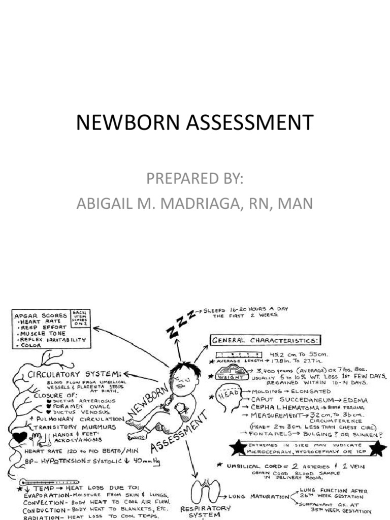Newborn Assessment | PDF | Labia | Infants