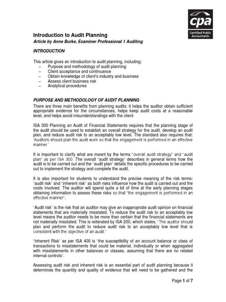 Introduction To Audit Planning | PDF